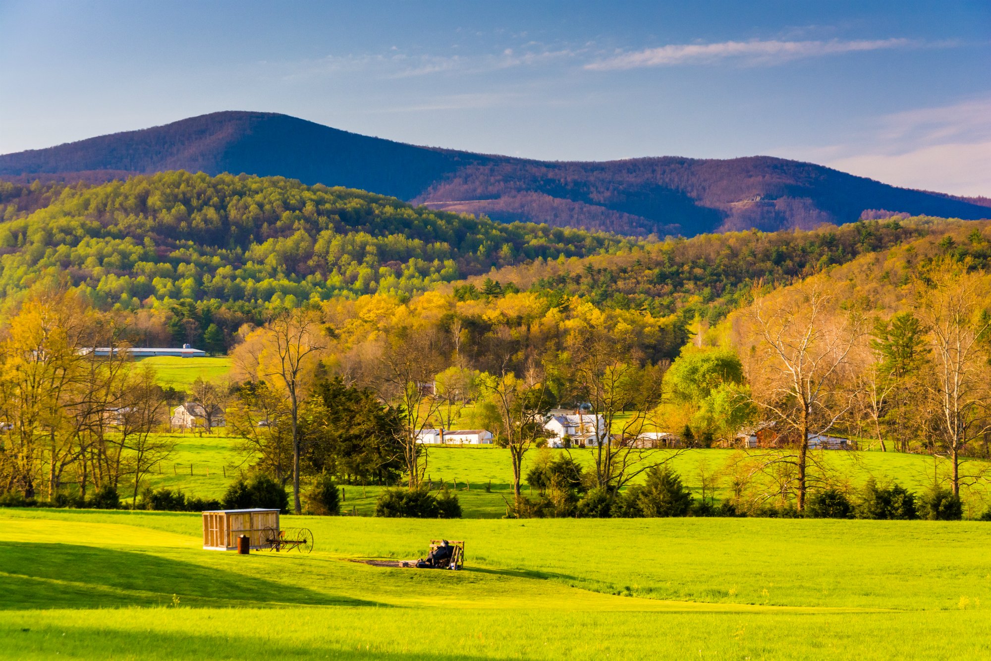 Dentist Madison VA | Cosmetic Dentistry